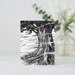 Tree Postcard | Zazzle