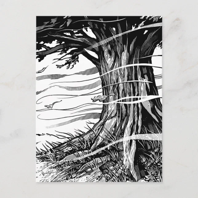 Tree Postcard | Zazzle