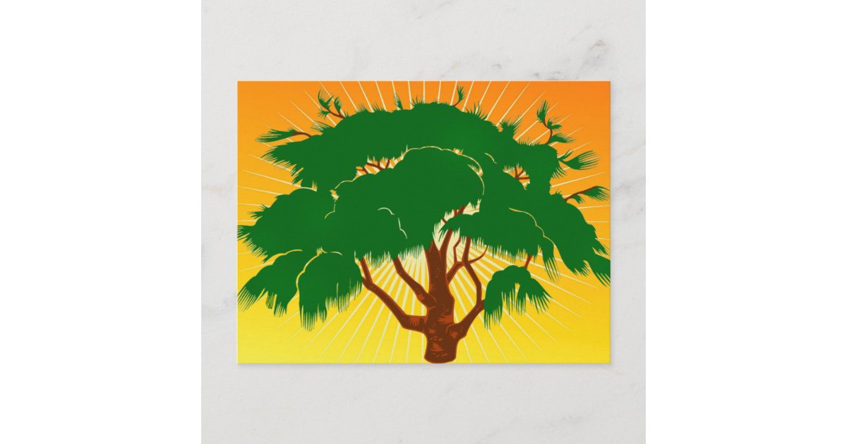 Tree Postcard | Zazzle