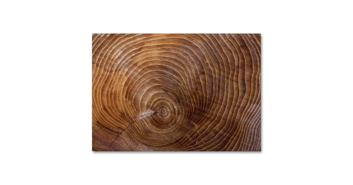 Tree rings table number | Zazzle