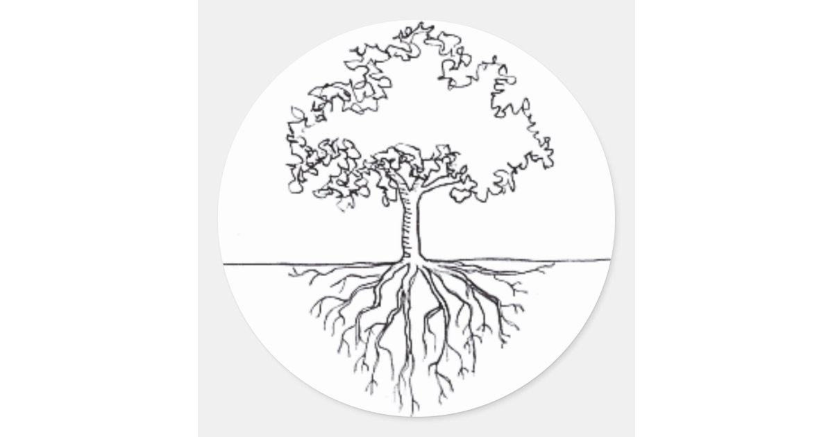 Tree Roots Classic Round Sticker | Zazzle