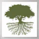 Tree Roots Poster | Zazzle