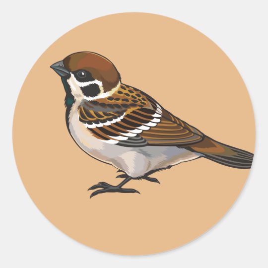 tree sparrow classic round sticker | Zazzle.com