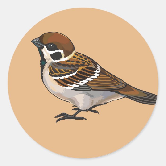 tree sparrow classic round sticker | Zazzle.com