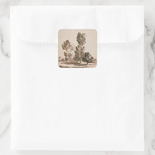 Tree Study (pen & ink on paper) Square Sticker | Zazzle