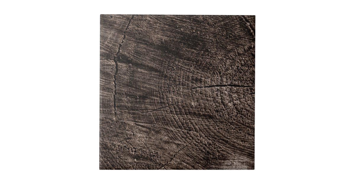 Tree Stump Tile | Zazzle