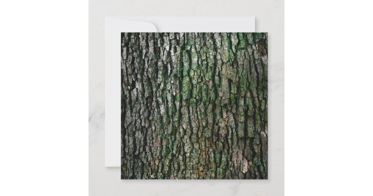 Tree Trunk (Wood Bark) Card | Zazzle