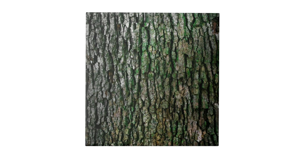Tree Trunk (Wood Bark) Ceramic Tile | Zazzle