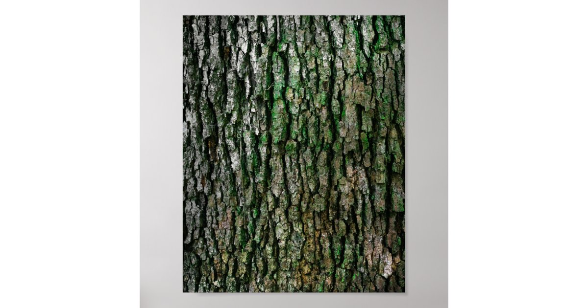 Tree Trunk (Wood Bark) Poster | Zazzle
