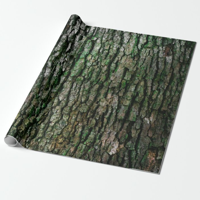 Tree Trunk Wrapping Paper | Zazzle.com