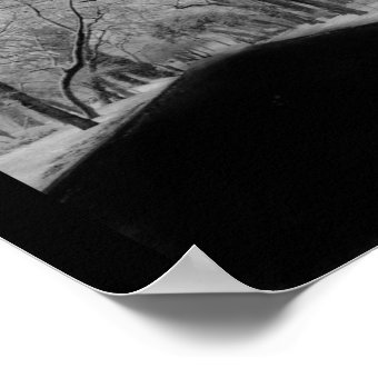 Tree Tunnel Poster | Zazzle