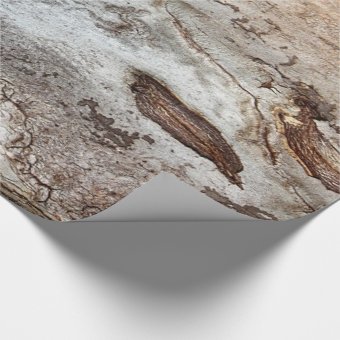 Tree Wood Bark Wrapping Paper | Zazzle