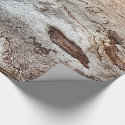 Tree Wood Bark Wrapping Paper | Zazzle