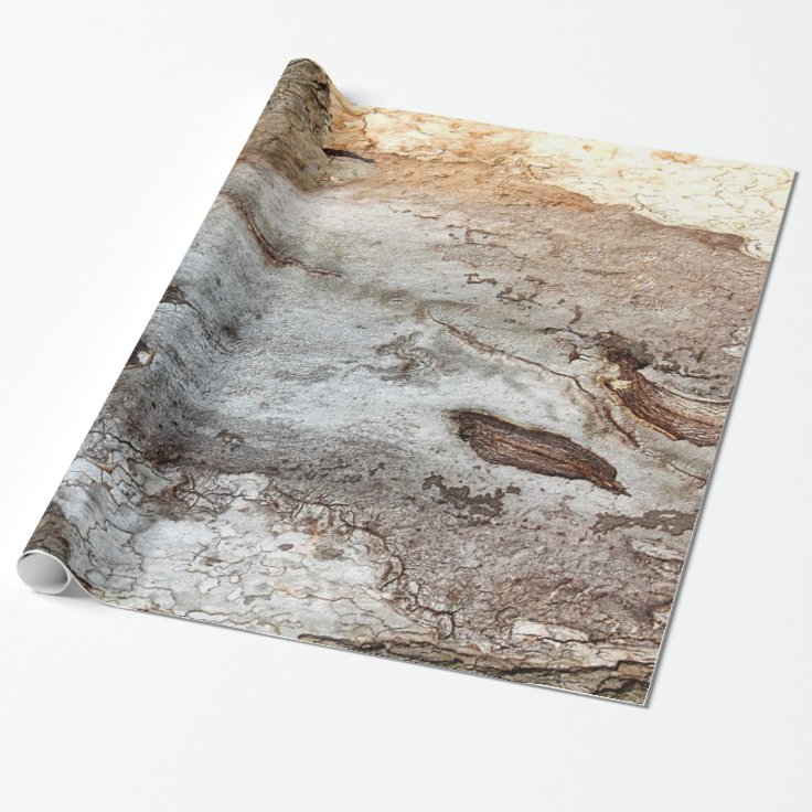 Tree Wood Bark Wrapping Paper | Zazzle