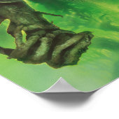 Treebeard Poster | Zazzle