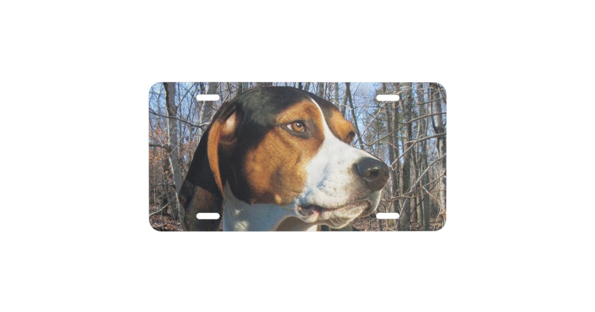 Treeing Walker Coonhound License Plate | Zazzle