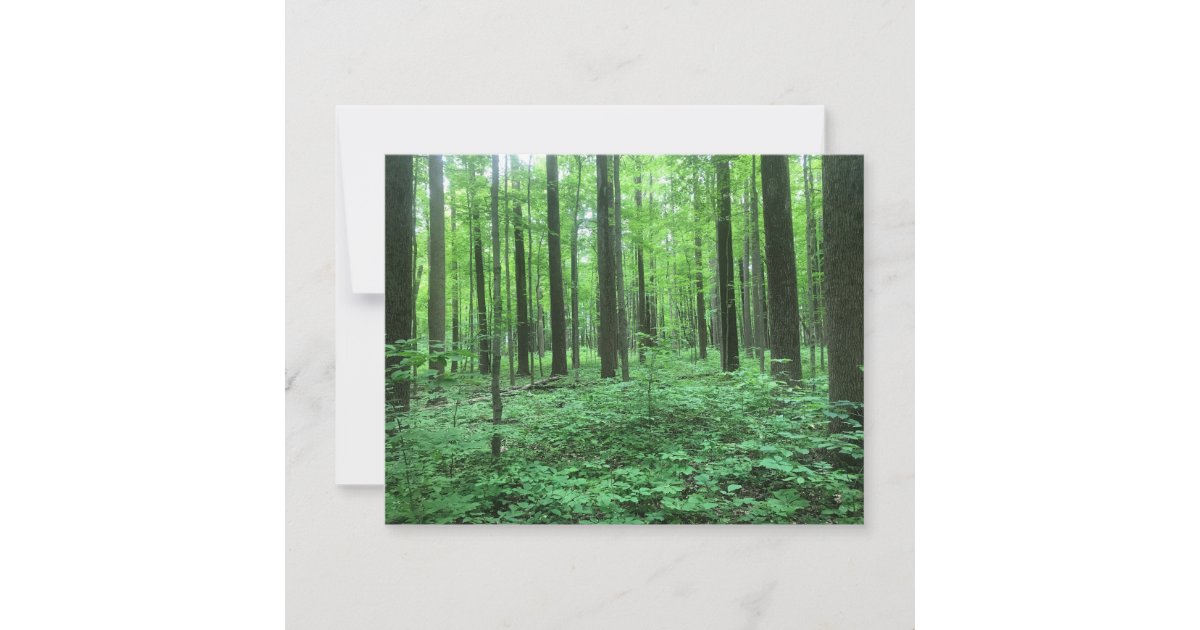 "Trees!" Note Card | Zazzle
