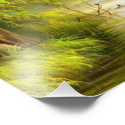 Trees over water photo print | Zazzle