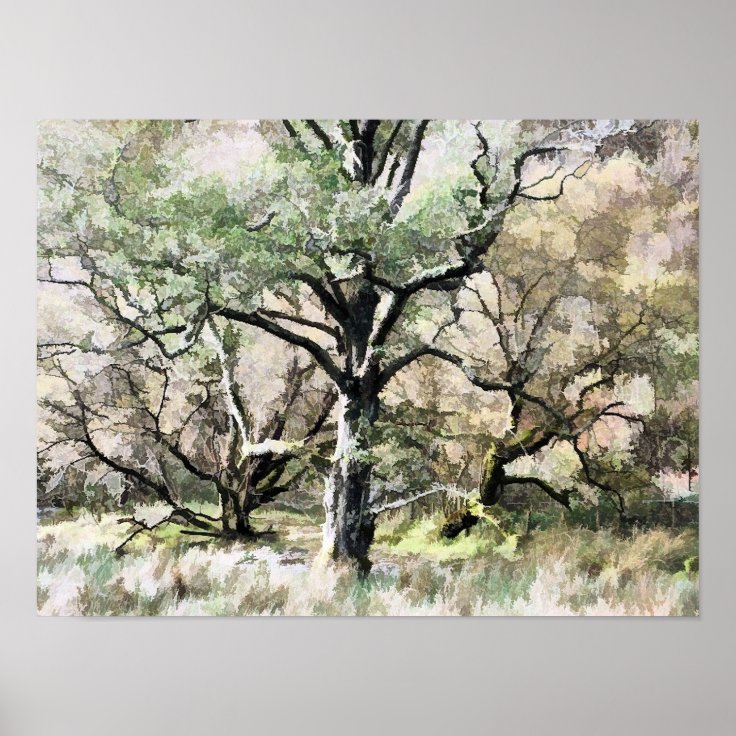 TREES POSTER | Zazzle