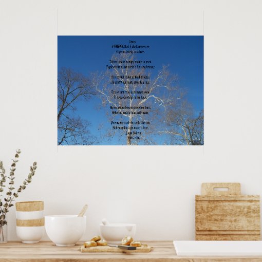 Trees Poster | Zazzle