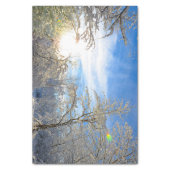 Trees Winter Snow Covered Blue Sky Clouds Scenery Tissue Paper | Zazzle