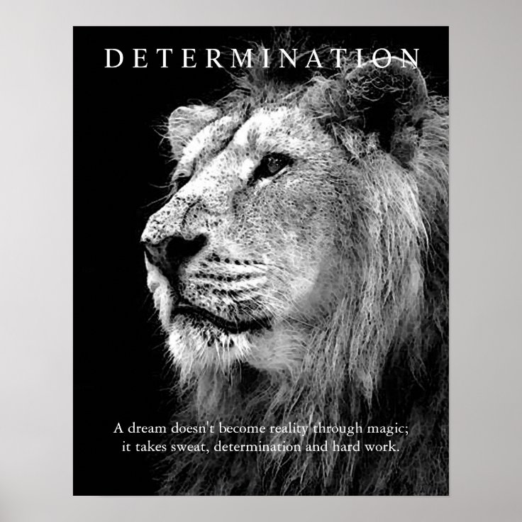 Trendy Motivational Determination Lion Artwork Poster | Zazzle