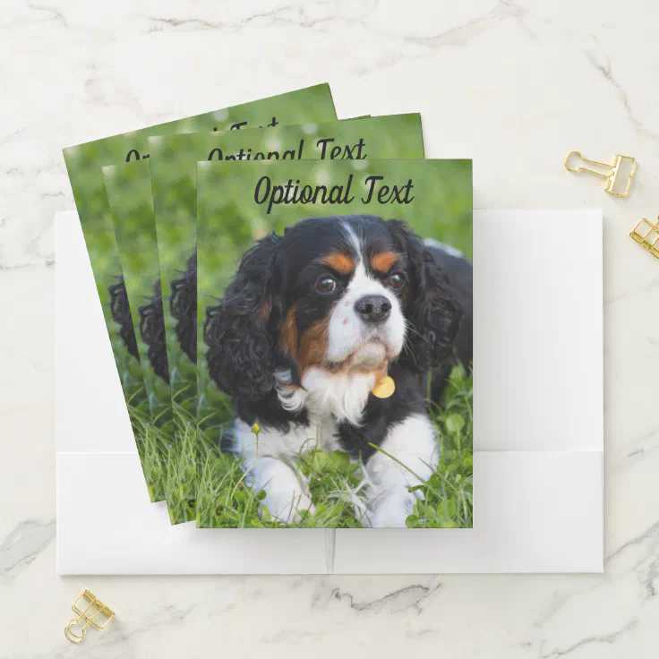 Tri Color Cavalier King Charles Spaniel Dog Pocket Folder | Zazzle
