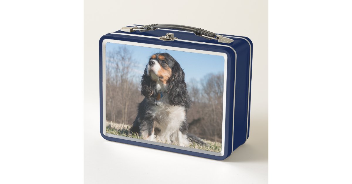 Tri Color Cavalier King Charles Spaniel Metal Lunch Box | Zazzle