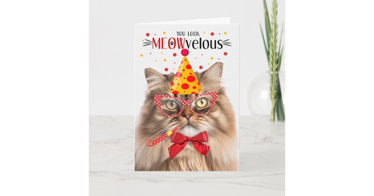 Tri Color Persian Cat MEOWvelous Birthday Card | Zazzle