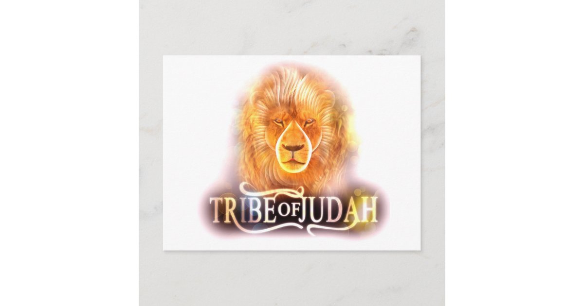 Tribe of Judah Post Card1 Postcard | Zazzle