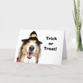Trick or Treat! Halloween Cards | Zazzle