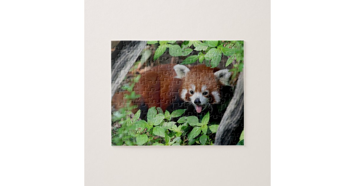 Tricksy Red Panda Jigsaw Puzzle | Zazzle