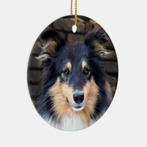 Tricolor Sheltie face Ceramic Ornament | Zazzle