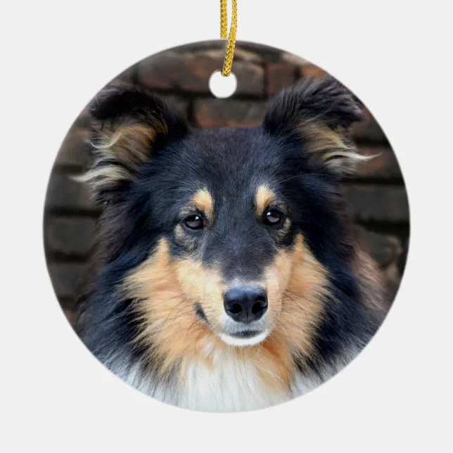 Tricolor Sheltie face Ceramic Ornament | Zazzle