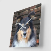 Tricolor Sheltie face Square Wall Clock | Zazzle