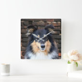Tricolor Sheltie face Square Wall Clock | Zazzle