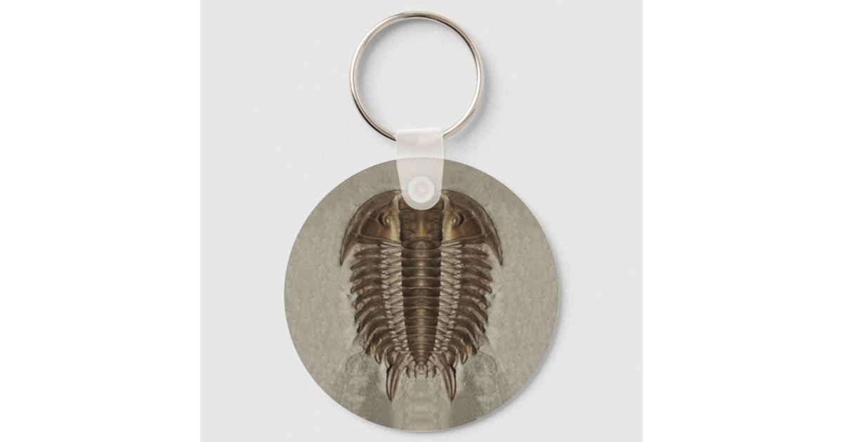 Trilobite Fossil Keychain | Zazzle