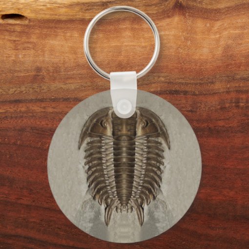 Trilobite Fossil Keychain | Zazzle
