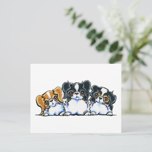 Triple Japanese Chin Postcard | Zazzle