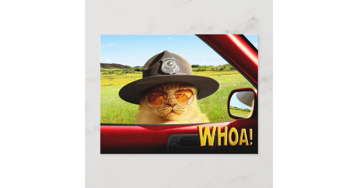 Trooper Cat Invitation Postcard | Zazzle