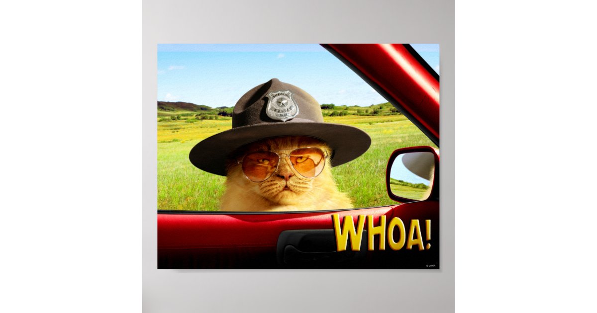 Trooper Cat Poster | Zazzle