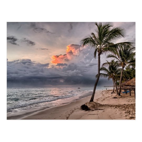 Tropical beach in the Caribbean Postcard | Zazzle.com