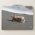 Tropical Beach, Palm,Seashells File Folder | Zazzle