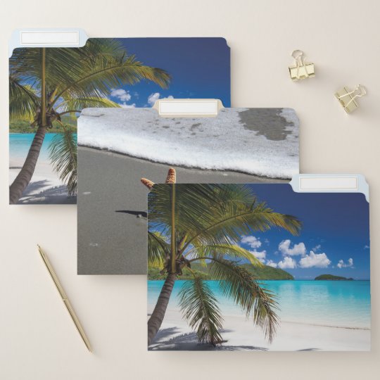 Tropical Beach, Palm,Seashells File Folder | Zazzle.com