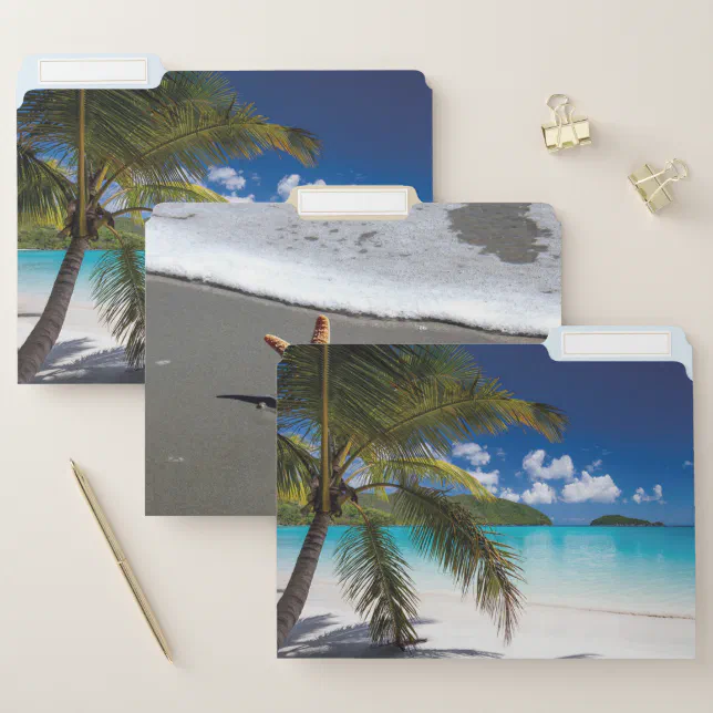 Tropical Beach, Palm,Seashells File Folder | Zazzle