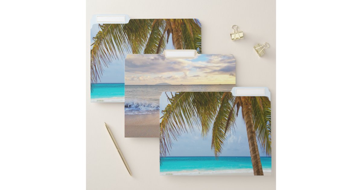 Tropical Beach, Palm,Seashells, Sunset File Folder | Zazzle