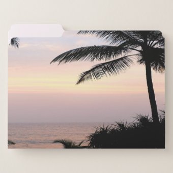 Tropical Beach, Palm,Sunset File Folder | Zazzle