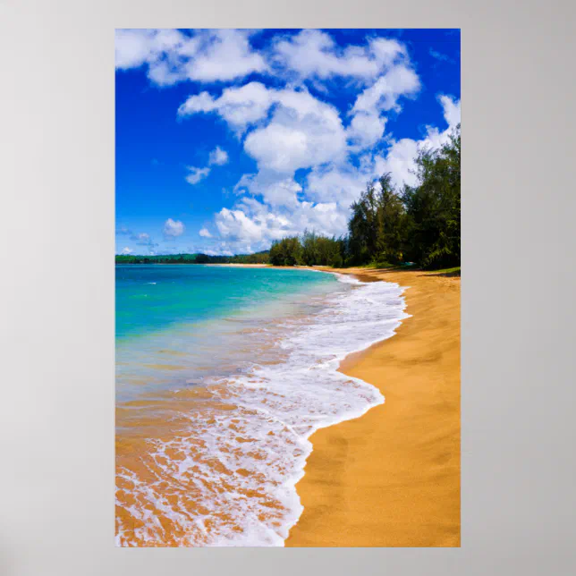 Tropical beach paradise, Hawaii Poster | Zazzle