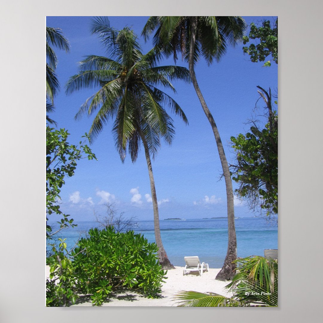 Tropical Beach Poster | Zazzle