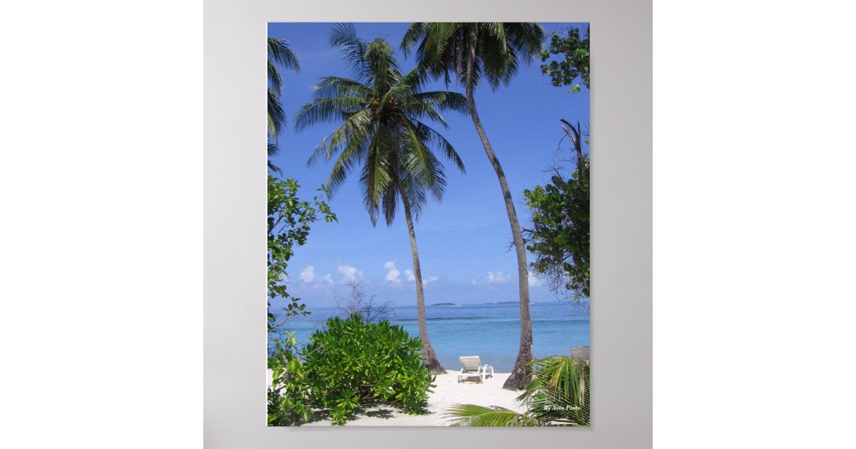 Tropical Beach Poster | Zazzle